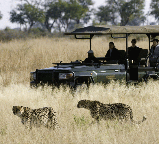 MAHANGO GAME RESERVE - African Travels - Namibia