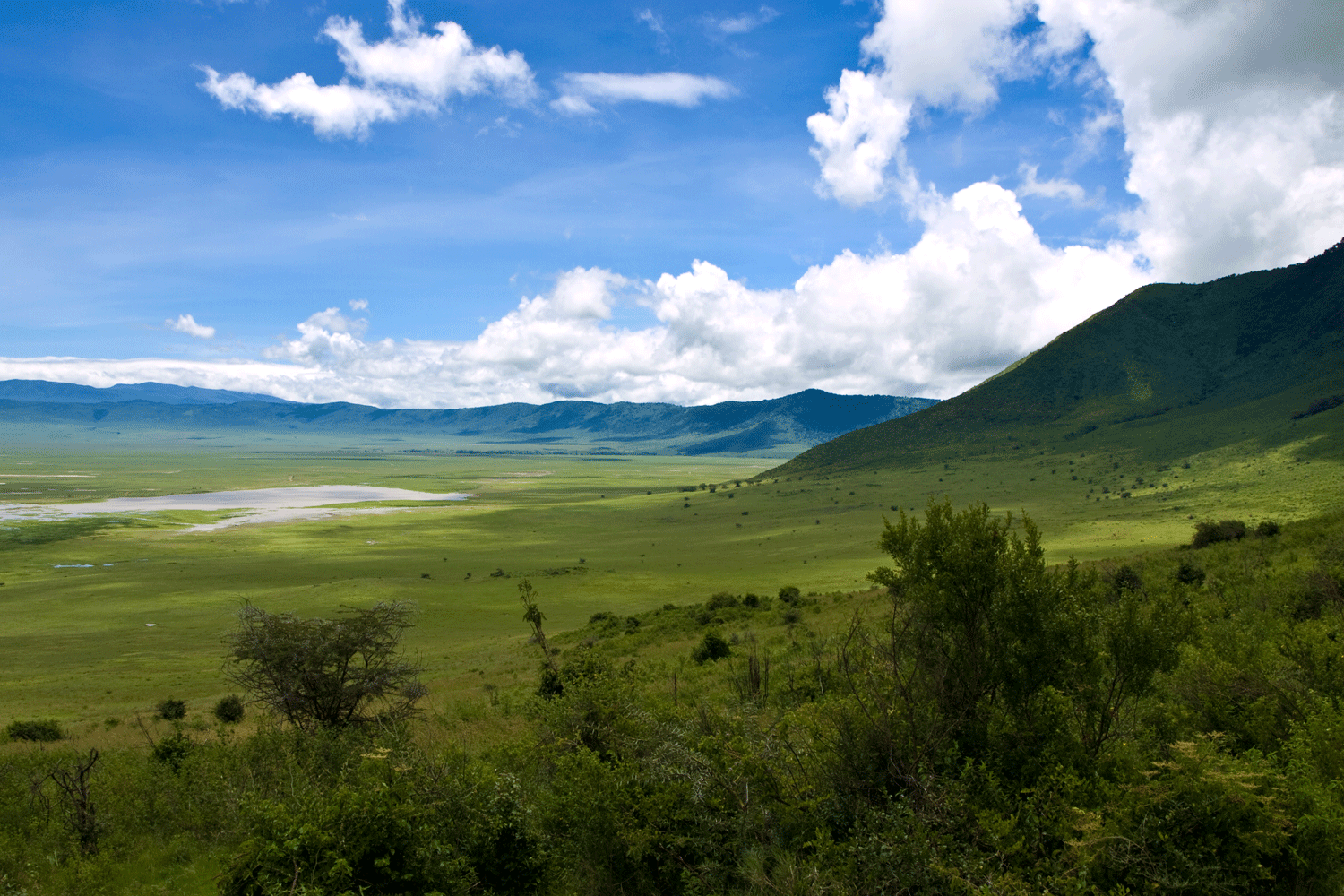 NGORONGORO KRATER - African Travels - Tanzania