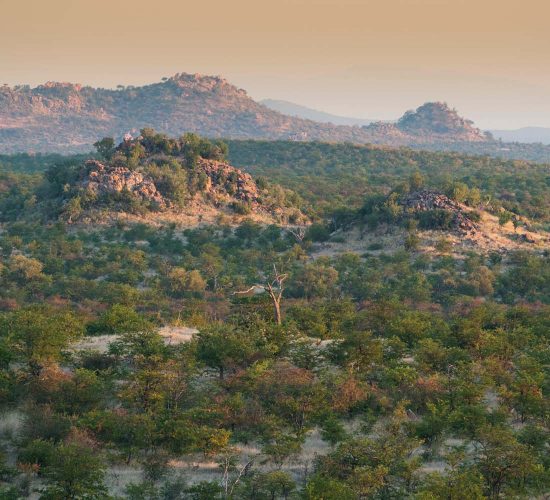 Botswana - African Travels - Authentic Africa Specialist