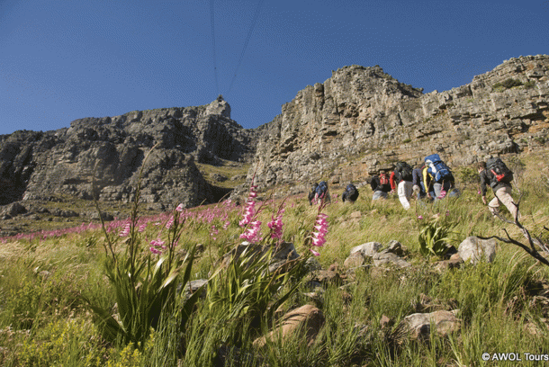 Bucket list of South African hiking trails - African Travels