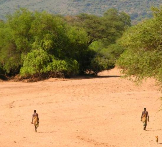 LAKE MANYARA NATIONAL PARK - African Travels - Tanzania