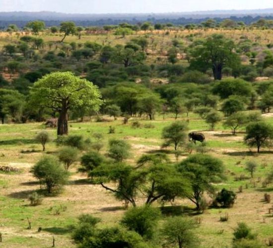 MOUNT KILIMANJARO - African Travels - Tanzania Holiday