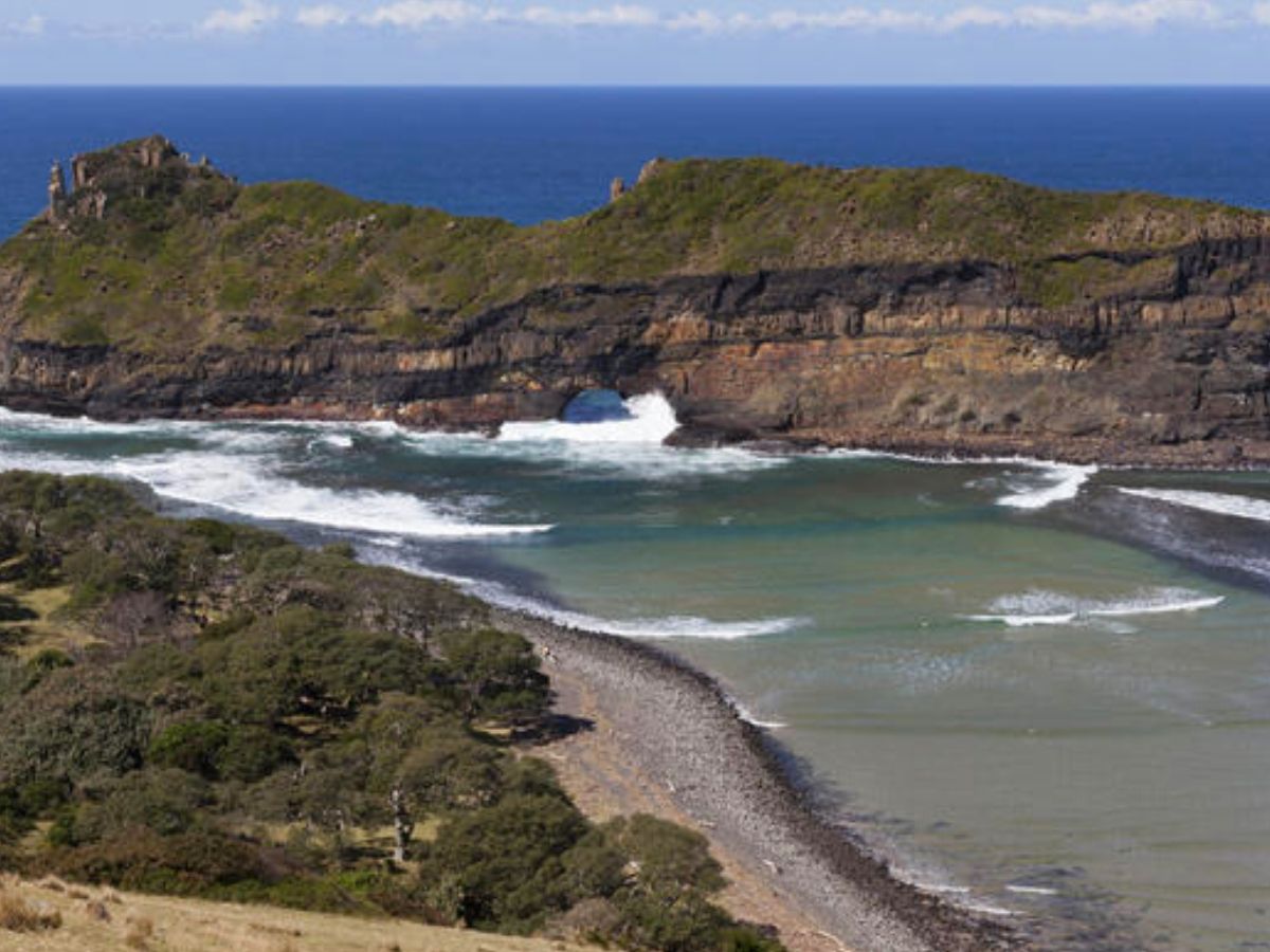 WILD COAST - African Travels - South Africa Holiday
