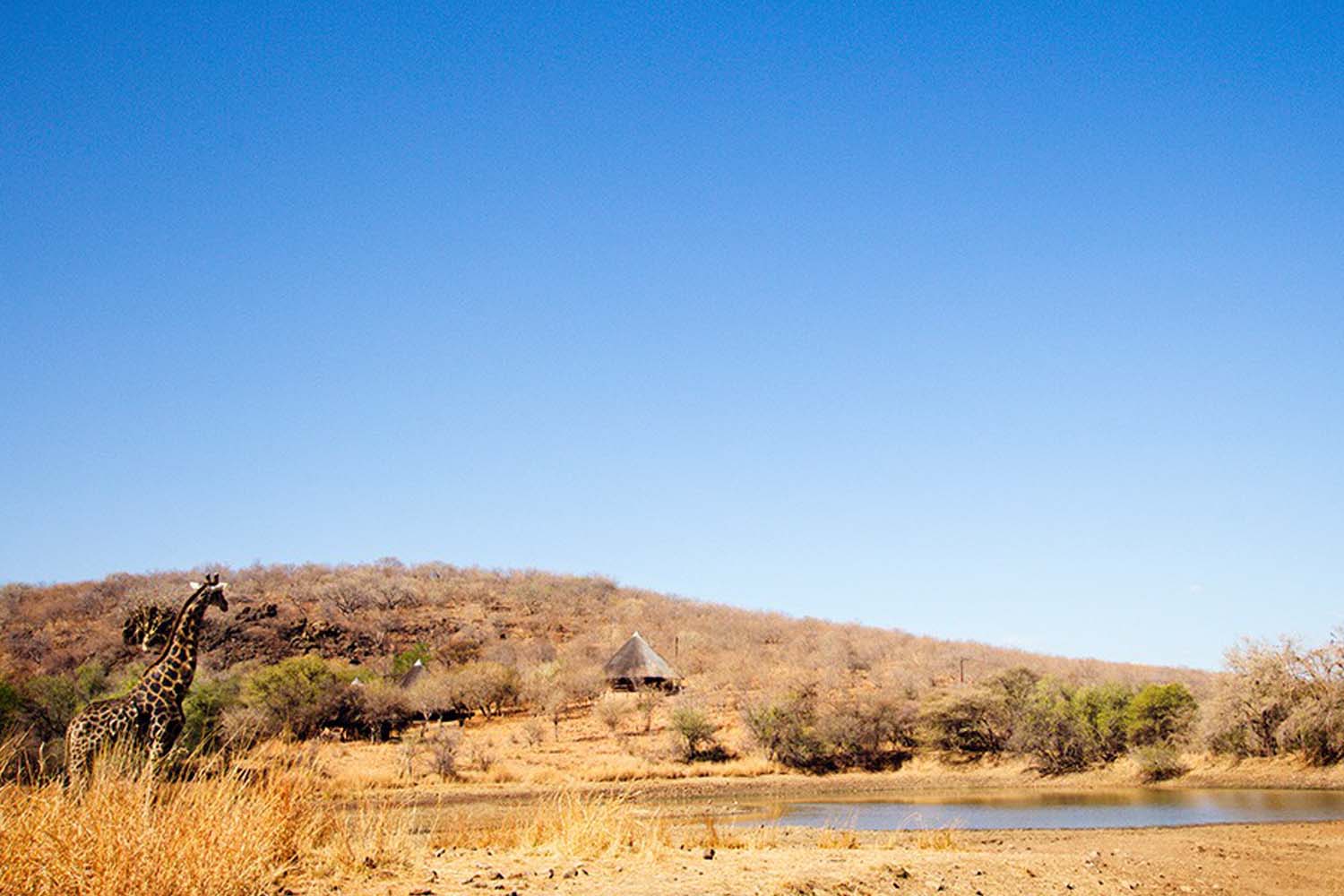 Mokolodi Nature Reserve - African Travels - Botswana