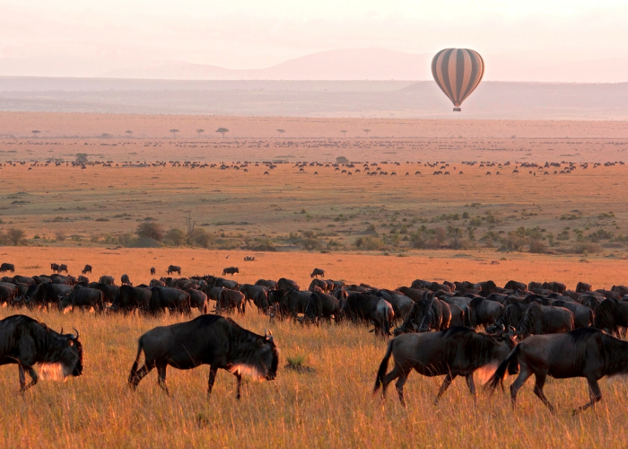 NAIROBI NATIONAL PARK - African Travels - Ontdek Kenia met ons