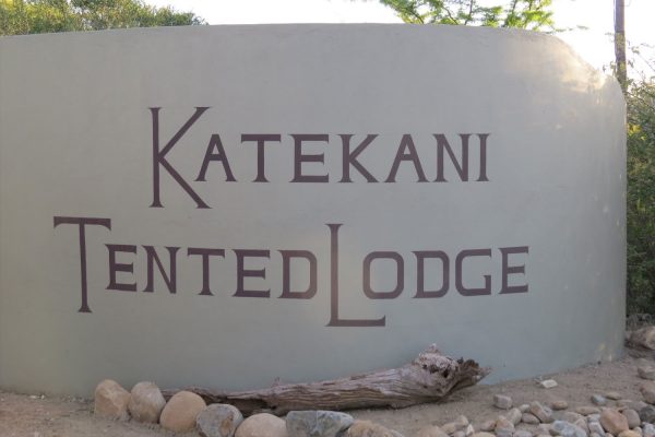 4 days - Katekani Tented Lodge Safari - African Travels