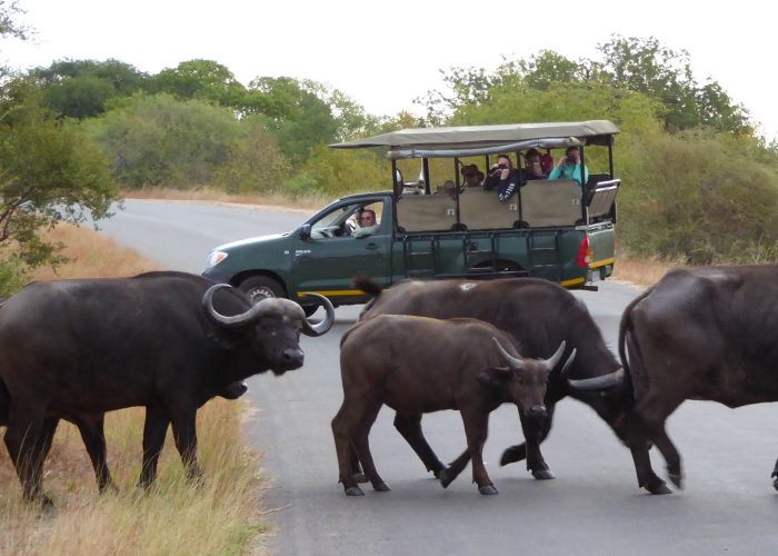 MARAKELE NATIONAL PARK - African Travels - South Africa
