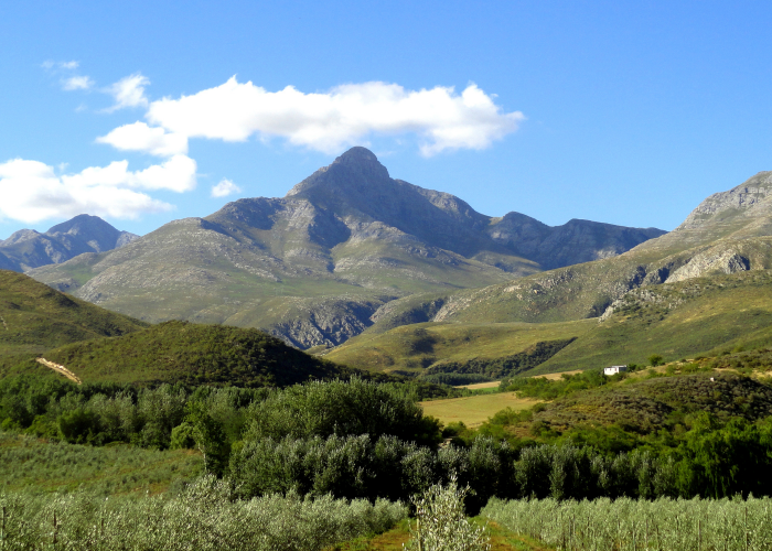 GARDEN ROUTE NATIONAL PARK - African Travels