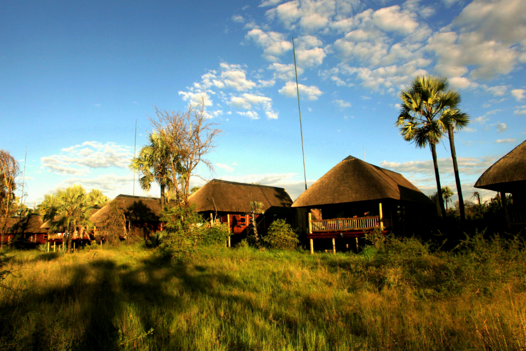 Nata Lodge - Botswana - African Travels