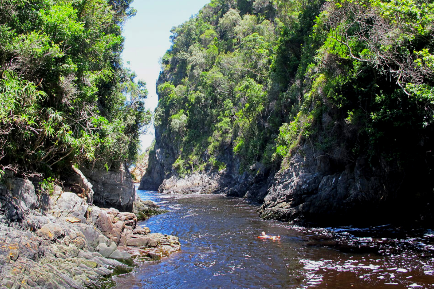 The Otter Trail South Africa - African Travels - Garden Route