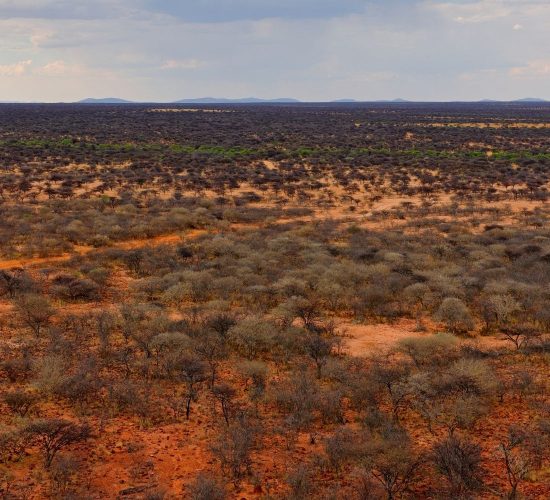 MAHANGO GAME RESERVE - African Travels - Namibia