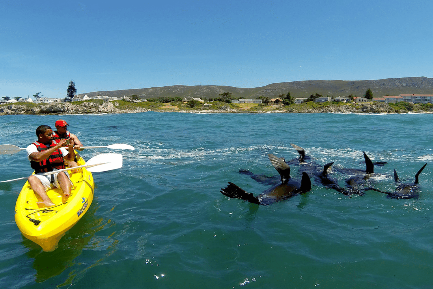 The best water-based activities in South Africa - African Travels